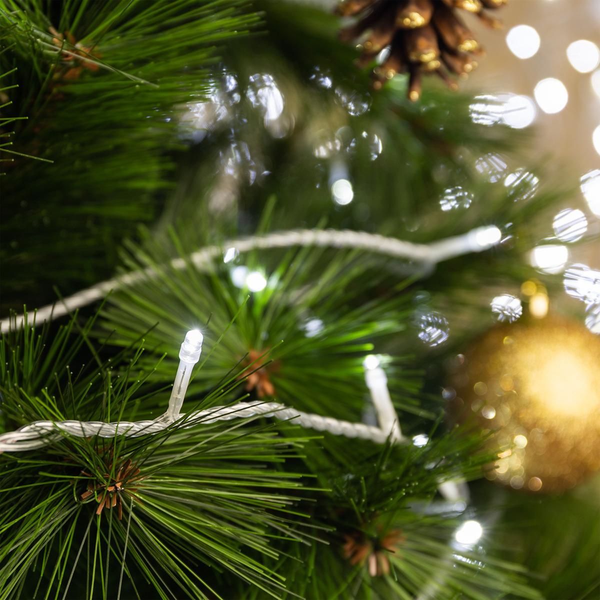 Guirlande LED 5 mètres | Ledgam